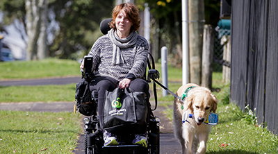 Charities in Auckland | How We Help | Mobility Dogs