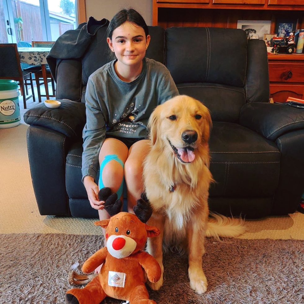 Companion Dogs - Mobility Dogs