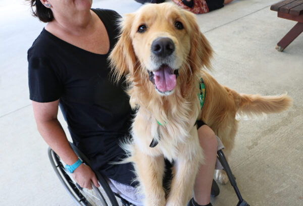 Mobility Dogs: Charitable Trust