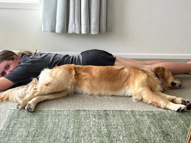 Mia the Companion Dog: Bringing Joy and Calm - Mobility Dogs